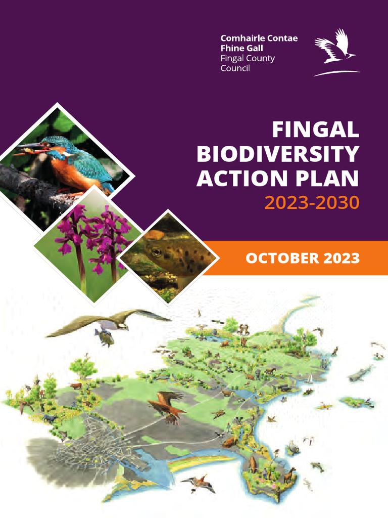 Fingal Biodiversity Action Plan 2023 2030 | PDF | Biodiversity ...