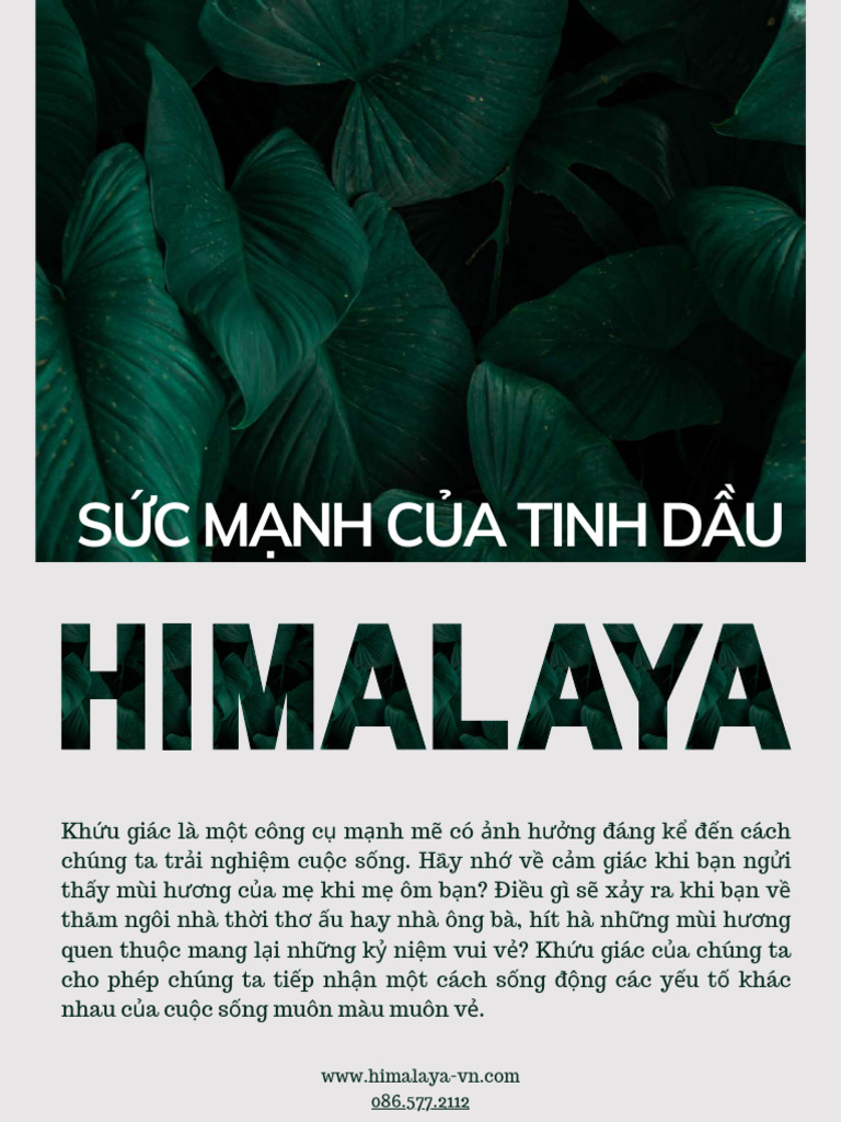 Suc Manh Cua Tinh Dau | PDF