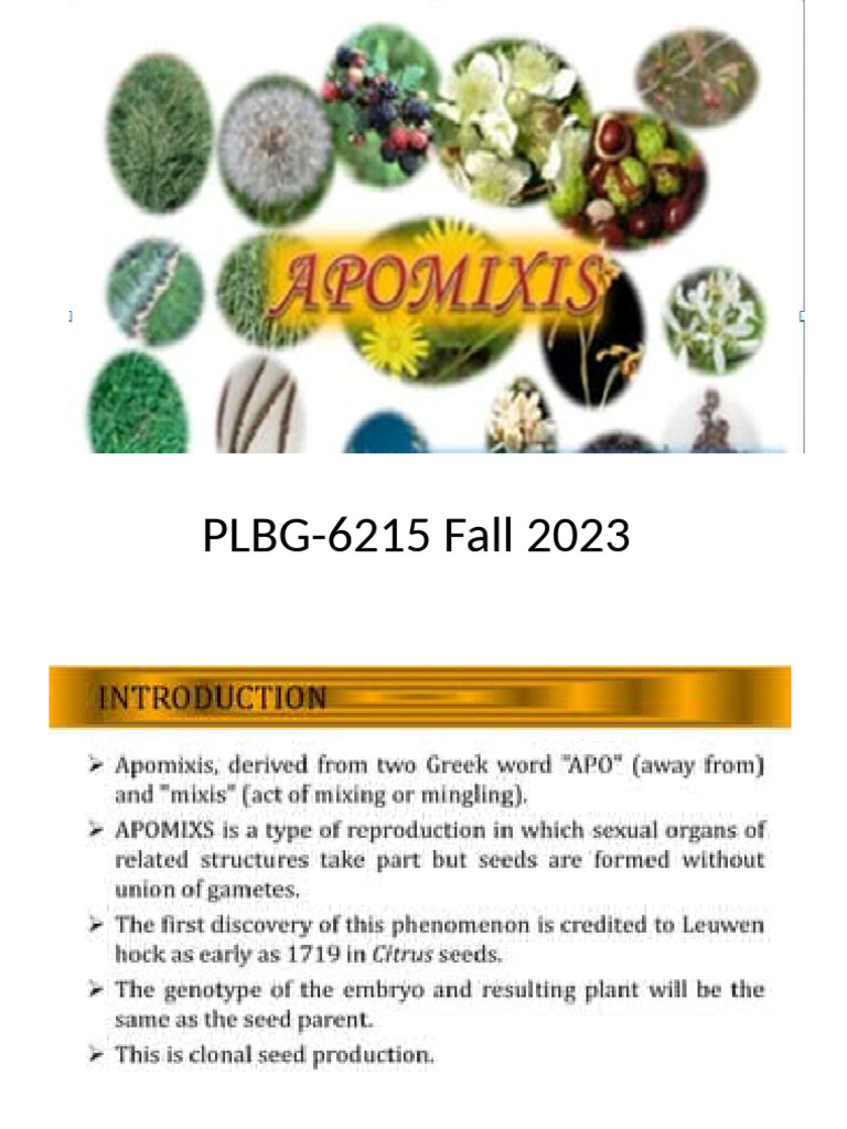 Apomixis Asexual Reproduction | PDF