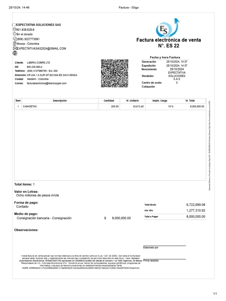 Factura Libero Cobre | PDF | Factura | Industrias de servicio