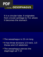 Soflax Tablets: Uses and Dosage Guide | PDF | Bloating | Nausea