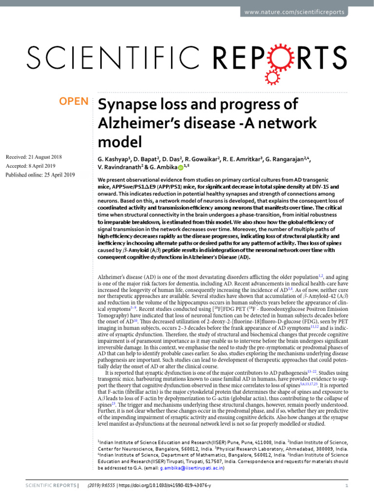 Synapse Loss in Alzheimer's Disease Model | PDF | Neuron | Synapse