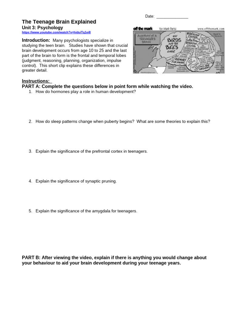 The Teenage Brain Explained | PDF | Science & Mathematics