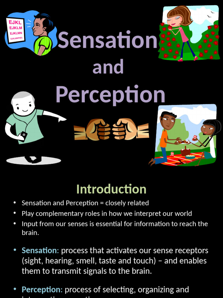 Sensation and Perception | PDF | Senses | Perception