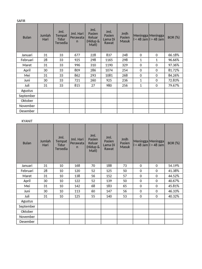 Laporan Ranap Anak Dan Perinatologi Juni 2024-1 | PDF