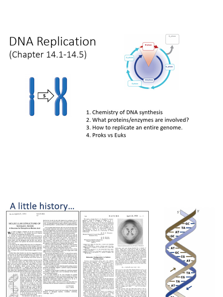 Ch14 DNA Replication Repair 1p-1 | PDF | James Watson | Dna