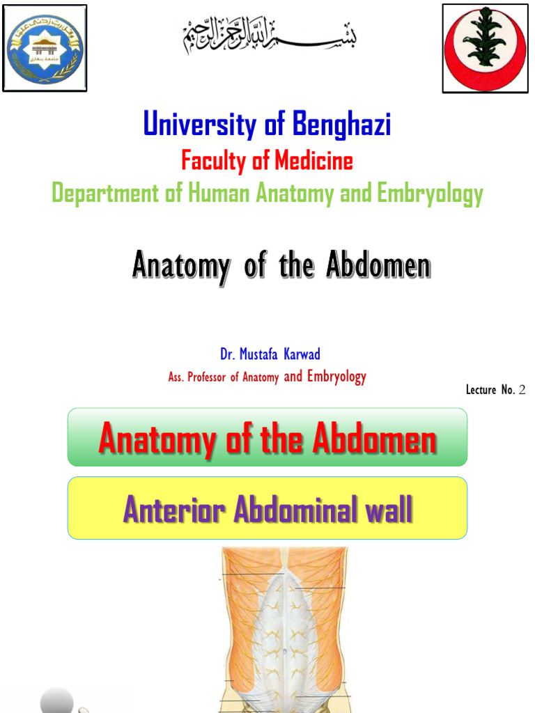 Abdomen Lecture 2 Anterior Abdominal Wall | PDF | Abdomen ...