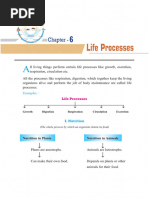 Class 10 Life Processes Notes | PDF | Cellular Respiration | Digestion