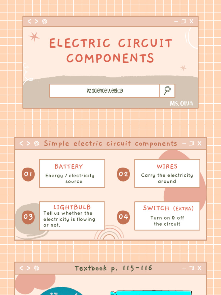 P2 Science Week 19 | PDF