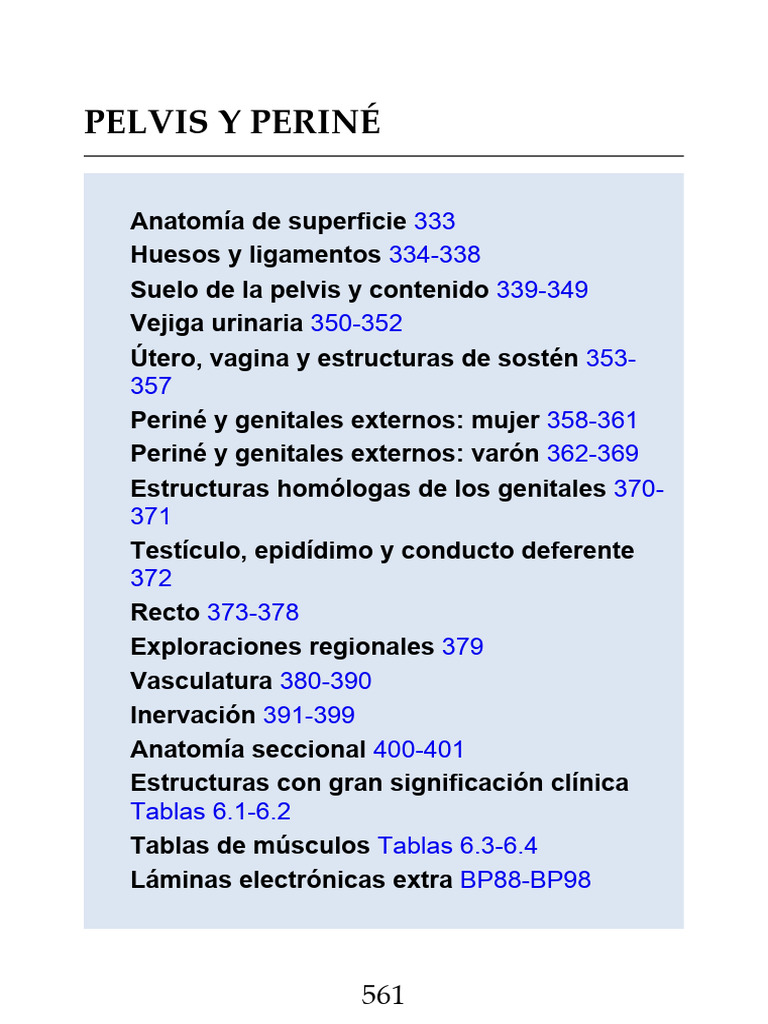 Pelvis y Periné-Netter Atlas de Anatomía Humana 7º Ed | PDF | Pelvis ...