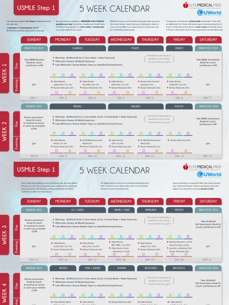 USMLE 5 Step 01 Study Planner | PDF