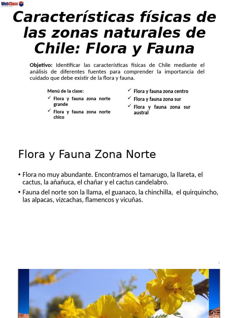 Clase4 - Florayfauna 07 de Abril 2024 | PDF