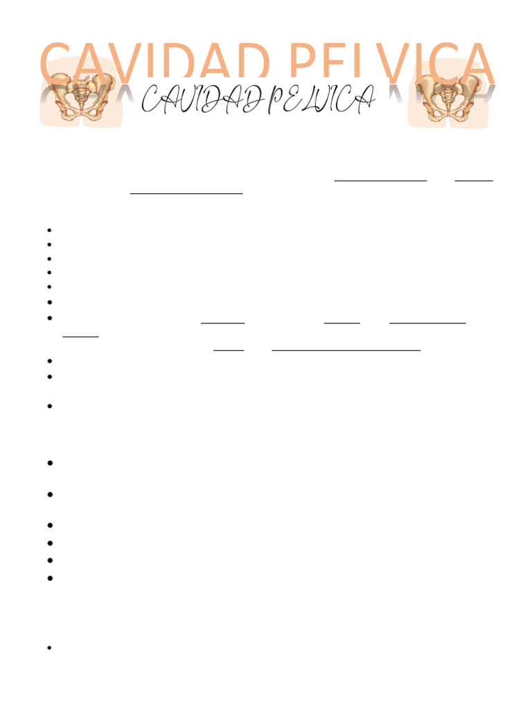 Anatomía Y Función De La Pelvis Pdf Pelvis Sistema Reproductivo