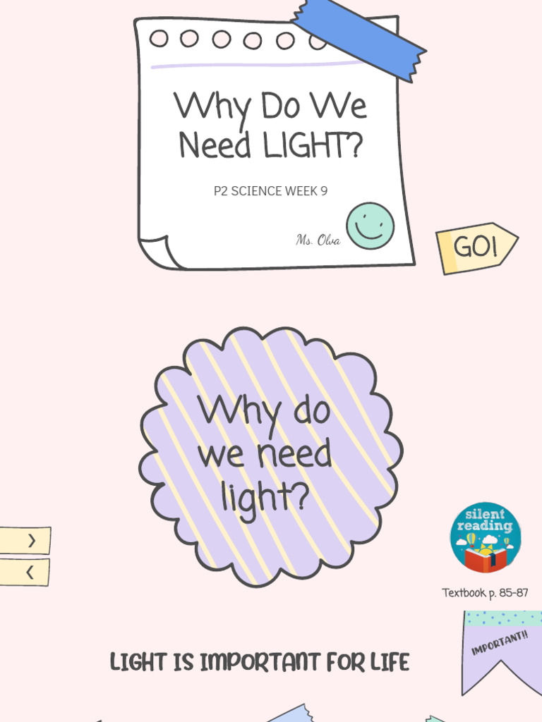 P2 Science | PDF