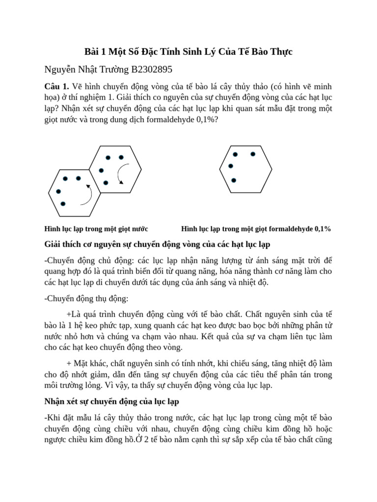 TT Sinh Lý Thực Vật Bài 1 | PDF