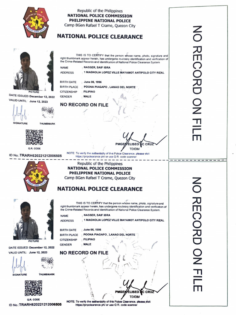 Other Req't Saif Nasser | PDF