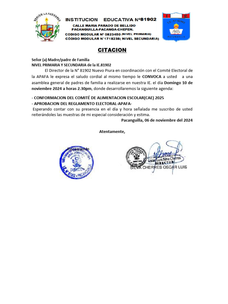 Citacion Apafa - 2024 - Direccion - Comite Electoral | PDF