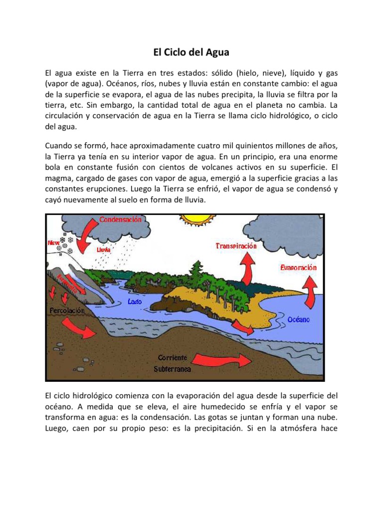 El Ciclo Del Agua | PDF