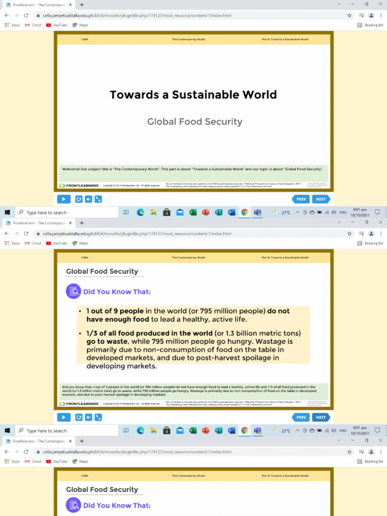 Lesson 3 Global Food Security | PDF