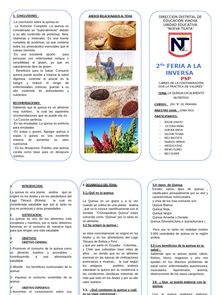 Triptico Sobre La Quinua 2 | PDF | Quinua | Nutrición