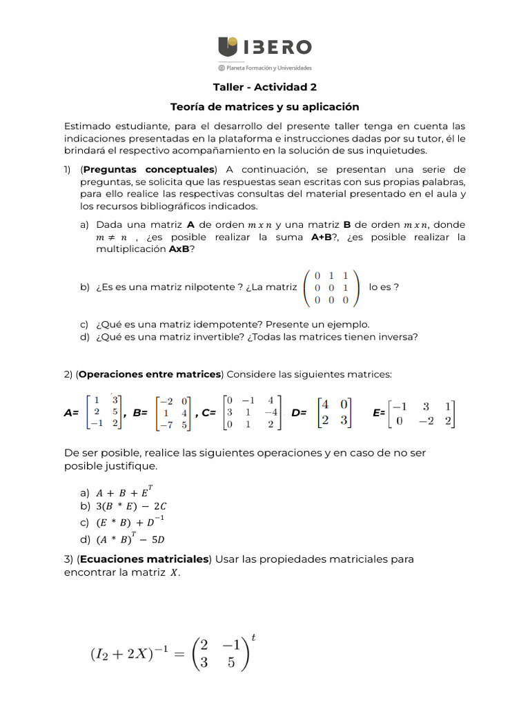 Taller: Teoría y Aplicación de Matrices | PDF | Matriz (Matemáticas) | Determinante