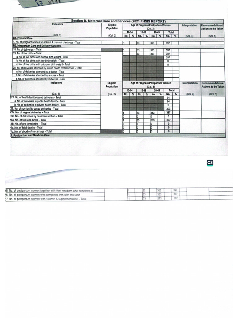 1.1 FHSIS Report - 2021 | PDF