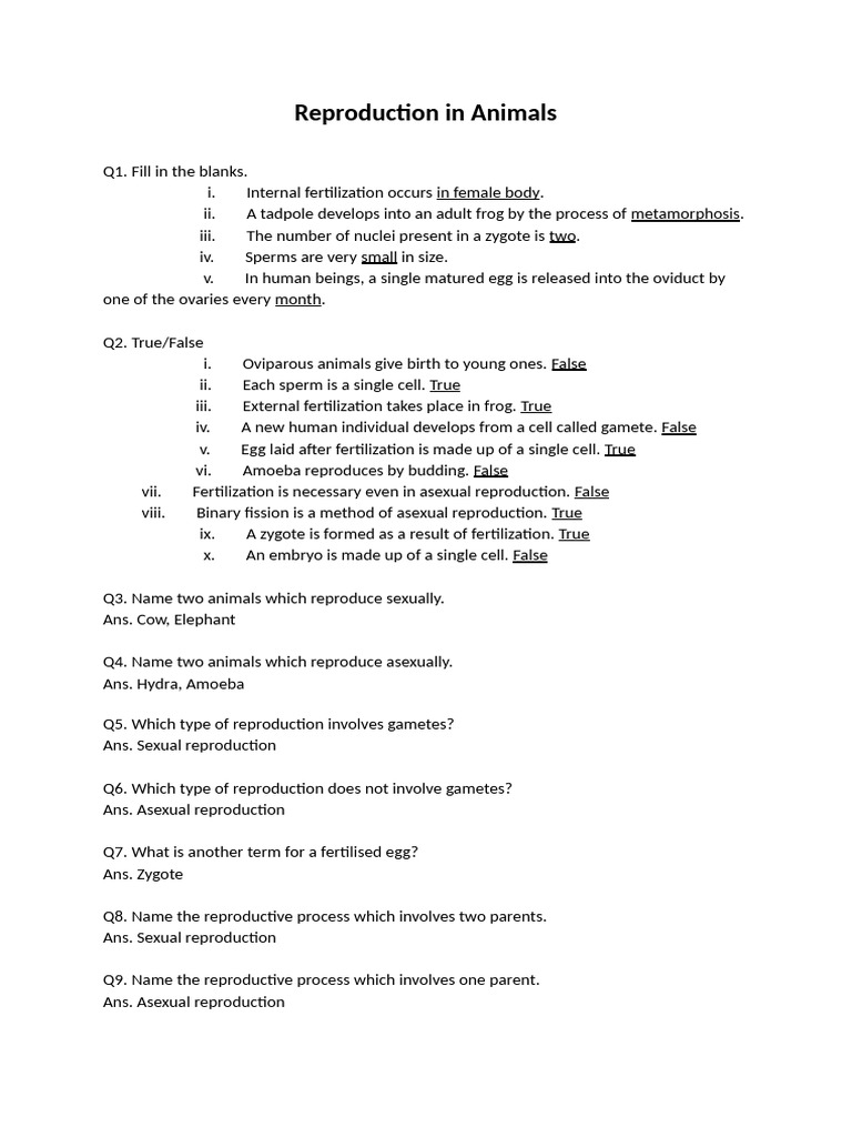 Reproduction in Animals | PDF | Fertilisation | Sexual Reproduction