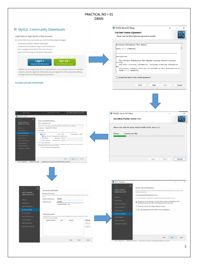 DBMS Practical 01 | PDF