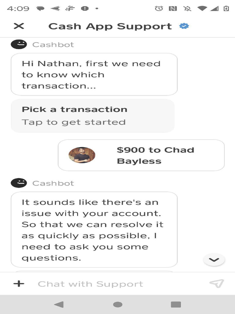 Cashbot: Hi Nathan, First We Need To Know Which Transaction .. | PDF