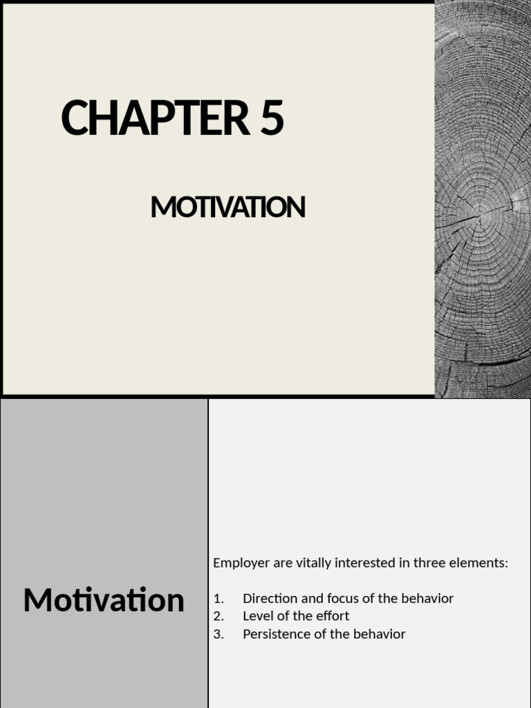 Understanding Employee Motivation Models | PDF | Motivational | Motivation