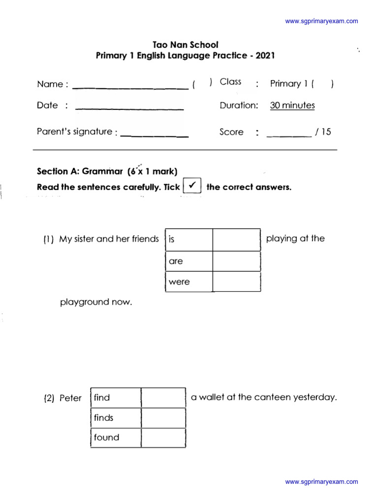 2021 P1 English Practice Tao Nan | PDF