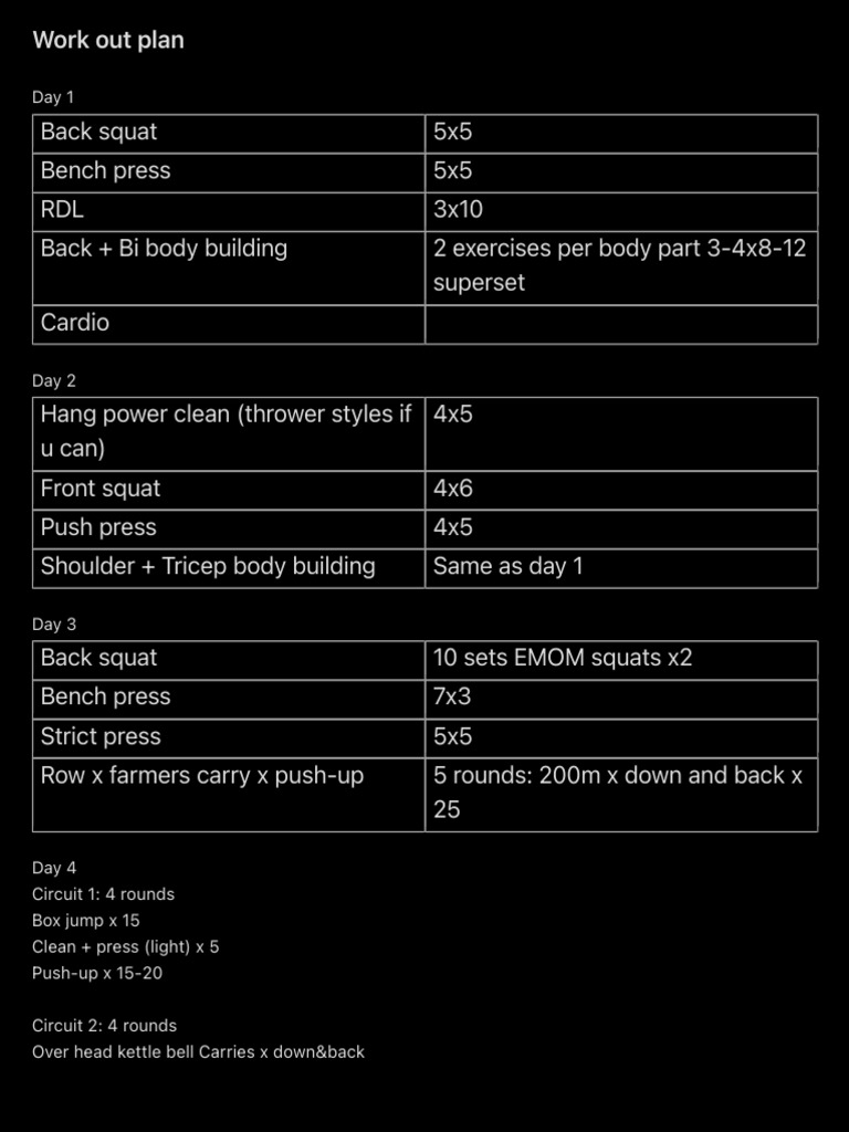 Work Out Plan | PDF