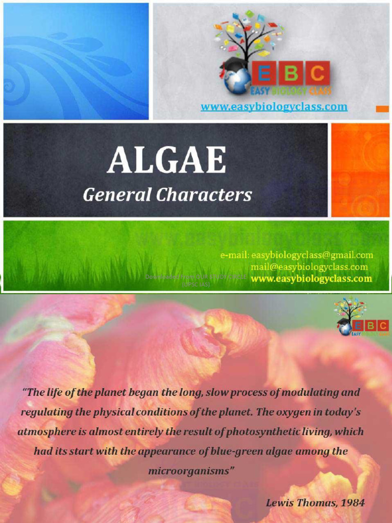 Algae General Characters PPT by Easybiologyclass | PDF
