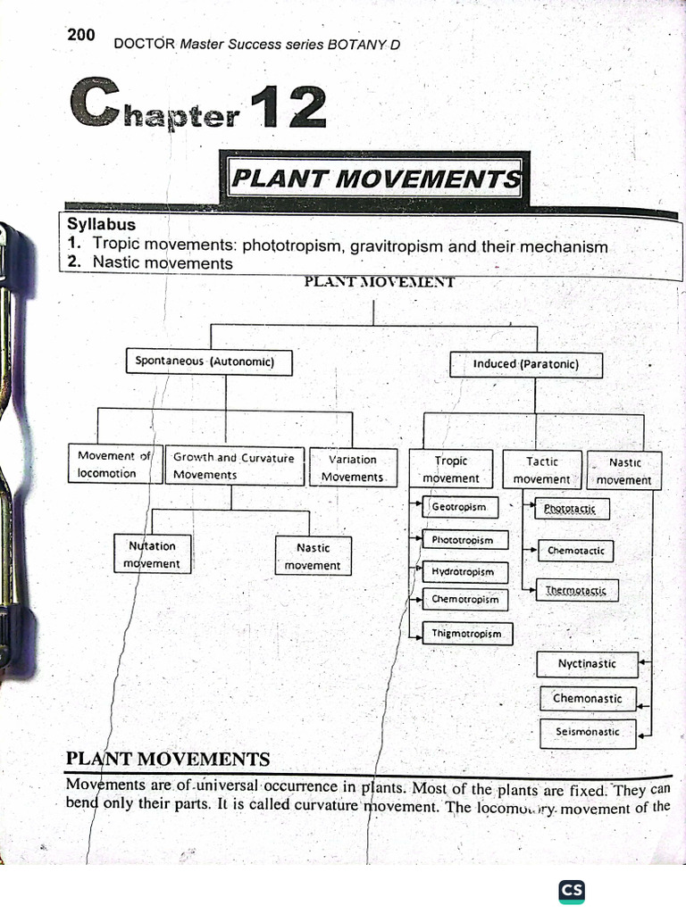 Plant Movements | PDF