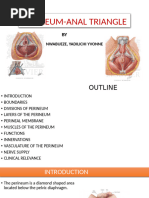 Female Perineum Anatomy Overview | PDF | Pelvis | Vagina