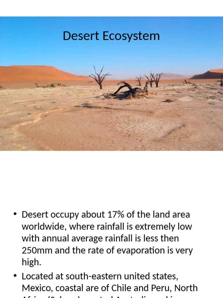 Overview of Desert Ecosystem Components | PDF