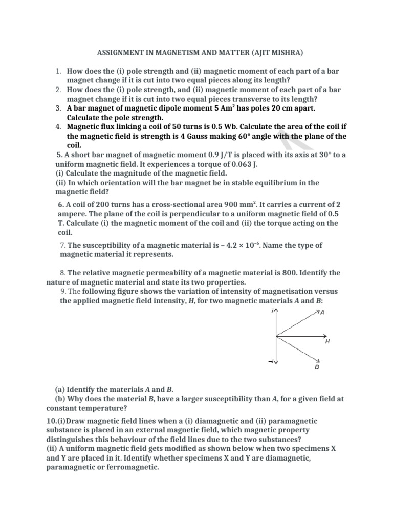 Magnetism Assignment for Students | PDF | Magnet | Magnetic Field
