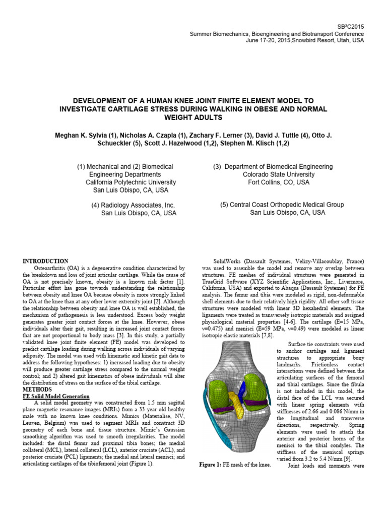 Development of A Human Knee Joint Finite Element Model To Investi | PDF ...