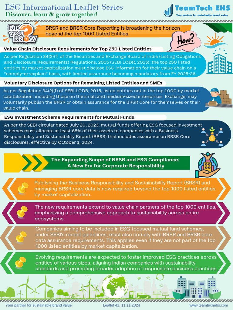ESG Informational Leaflet 41 by TeamTech EHS | PDF | Sustainability | Governance