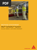 Pidilite Case Study | PDF | Brand | Adhesive