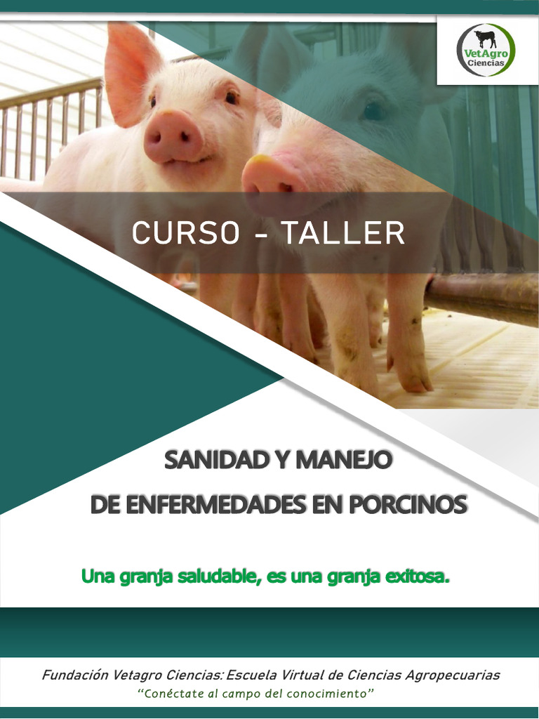 Programa Completo Curso Sanidad en Cerdos | PDF | Cerdo | Documento de ...