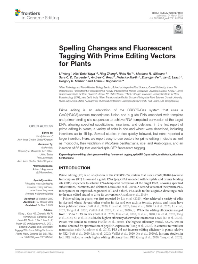 Spelling Changes and Fluorescent Tagging With Prime Editing Vectors For ...