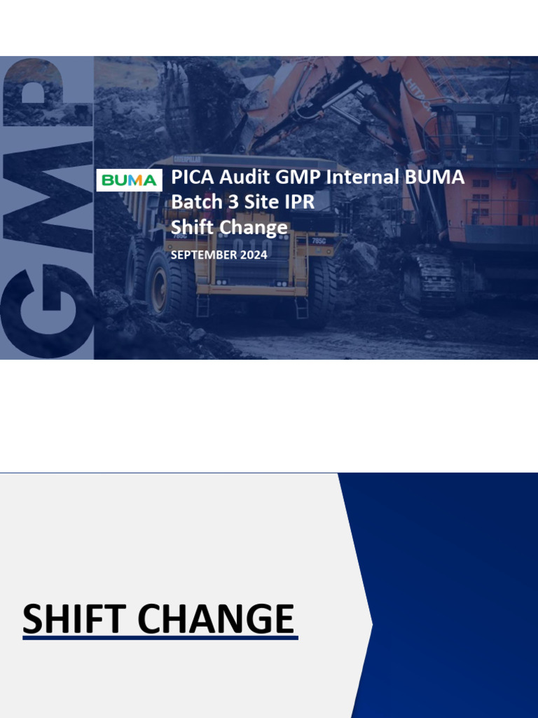 PICA Audiqt GMP Internal - IPR - Batch3 - Shift Change | PDF