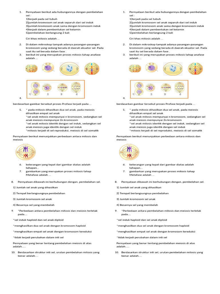 Soal Pembelahan Sel 1-10 Kls 9 | PDF | Sains & Matematika