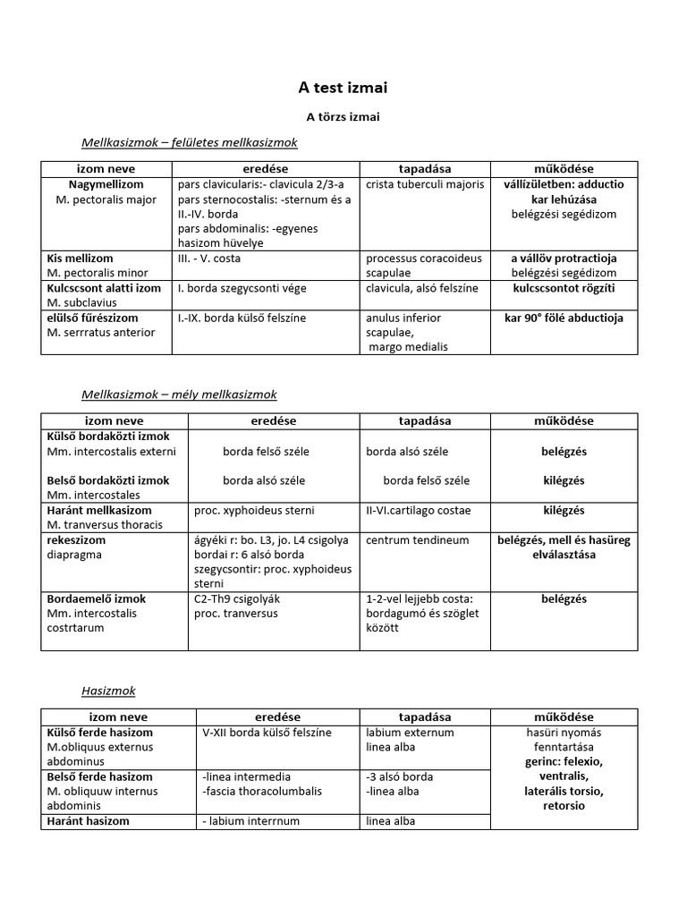 A Test Izmai Táblázat - 1668322354 - 1675092042 | PDF