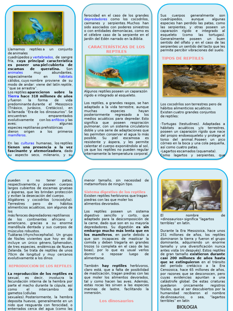 Triptico Reptiles | PDF | Reptil | Dinosaurios