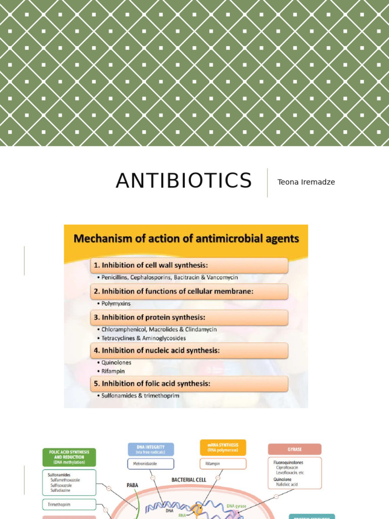 Antibiotics | PDF | Beta Lactamase | Penicillin