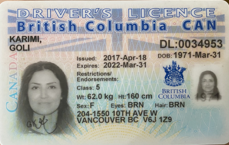 Drivers License | PDF