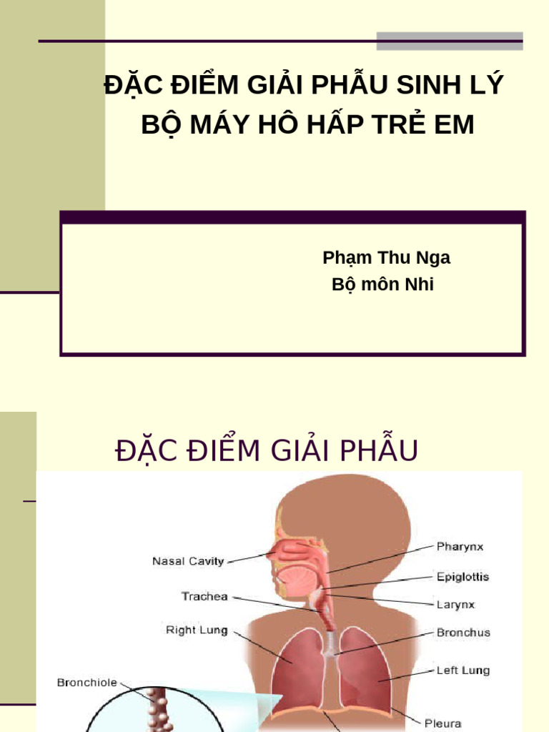 ĐĐ Giải Phẫu, Sinh Lí | PDF
