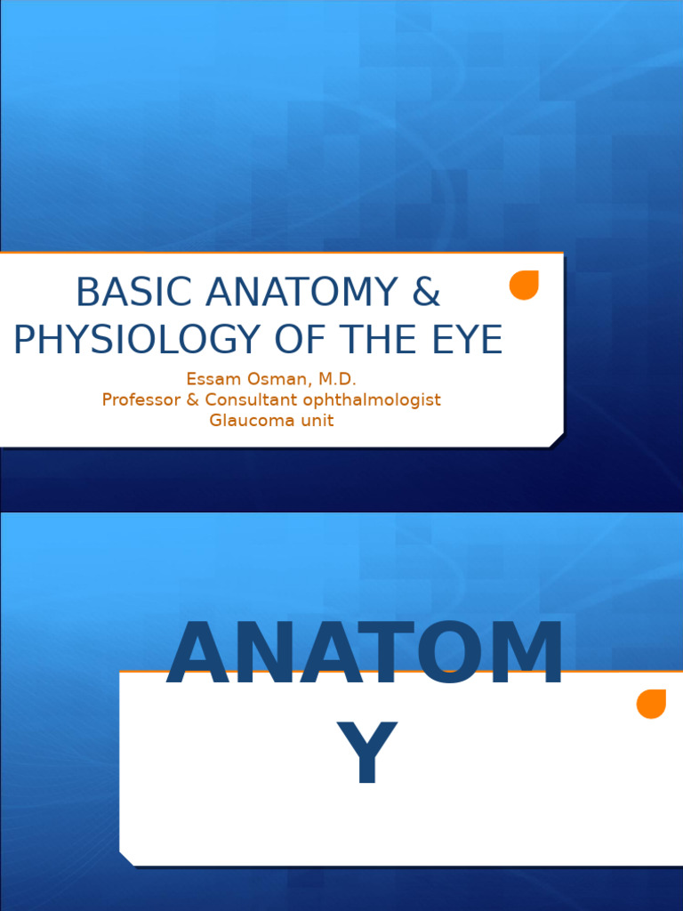 Anatomy and Physiology of the Eye | PDF | Retina | Visual System